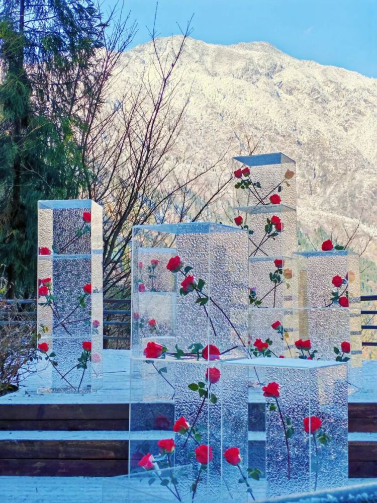 Exploring Winter in the South: Arrive in Chengdu’s "Little Switzerland ...