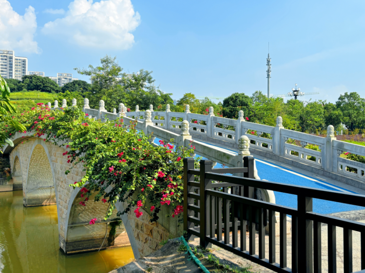 5 Best Spots for Winter Lawn Camping in Huangpu