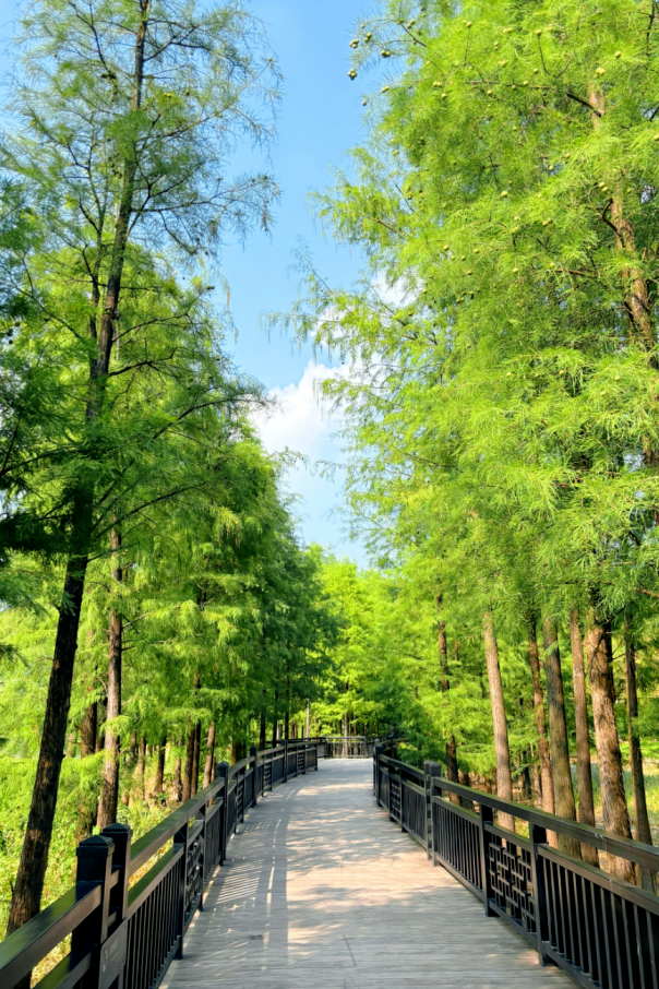 5 Best Spots for Winter Lawn Camping in Huangpu