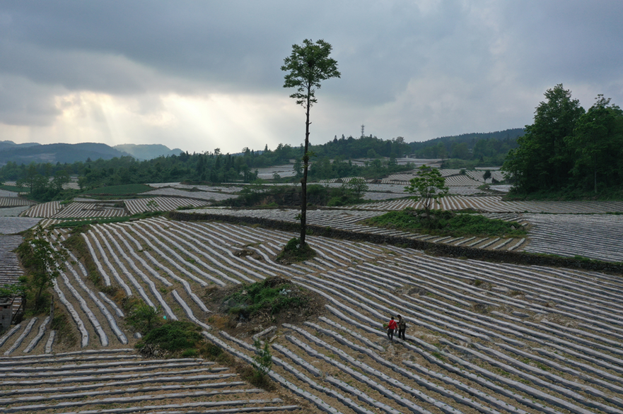 Pengshui County, Chongqing City: Picturesque Pastoral Landscape in ...