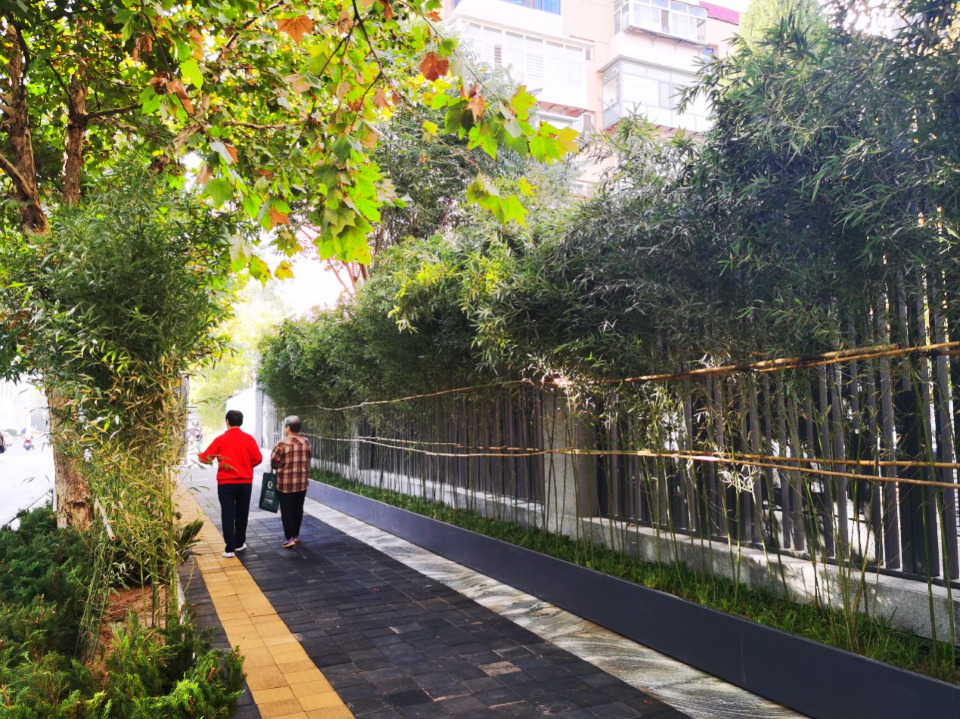 Stroll Along Yaqing Street in Shijiazhuang to Admire Beauty of Chinese ...
