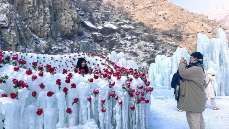 银川文旅集团2026年元旦假期圆满收官-国际在线