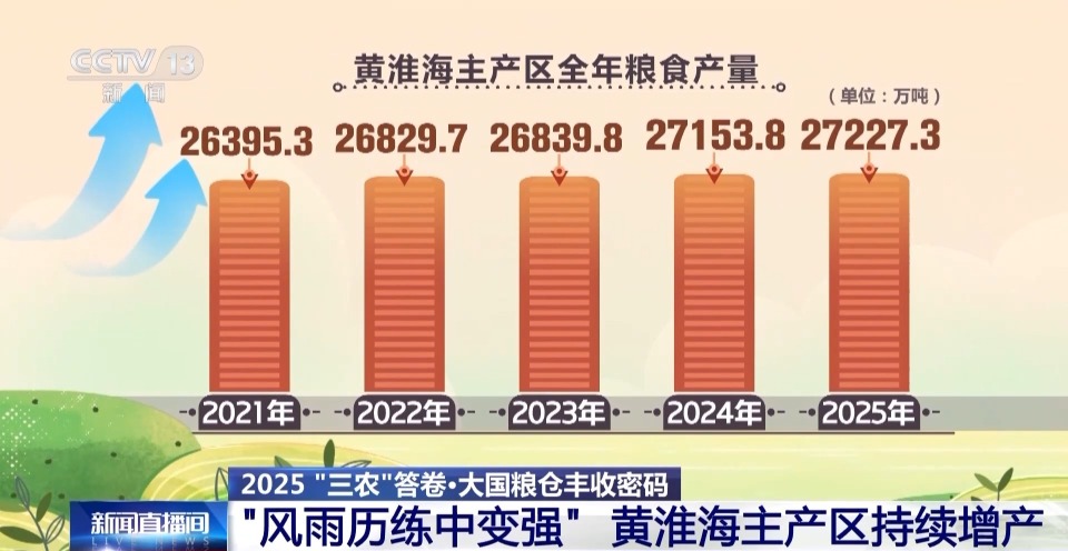 1.43万亿斤！为何今年全国粮食产量再创新高？-国际在线