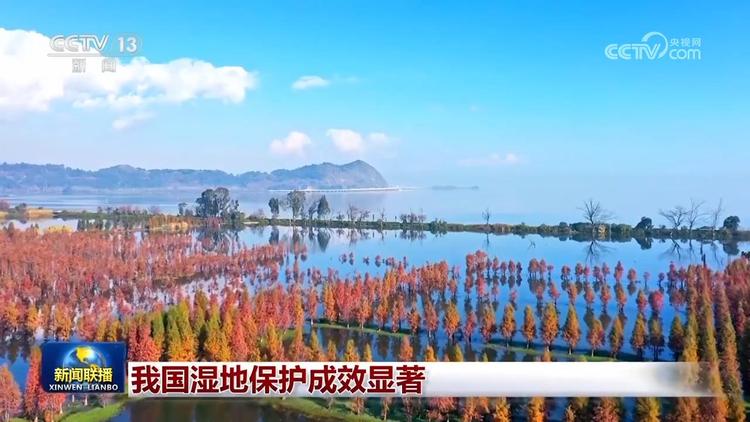 我国湿地保护成效显著-国际在线